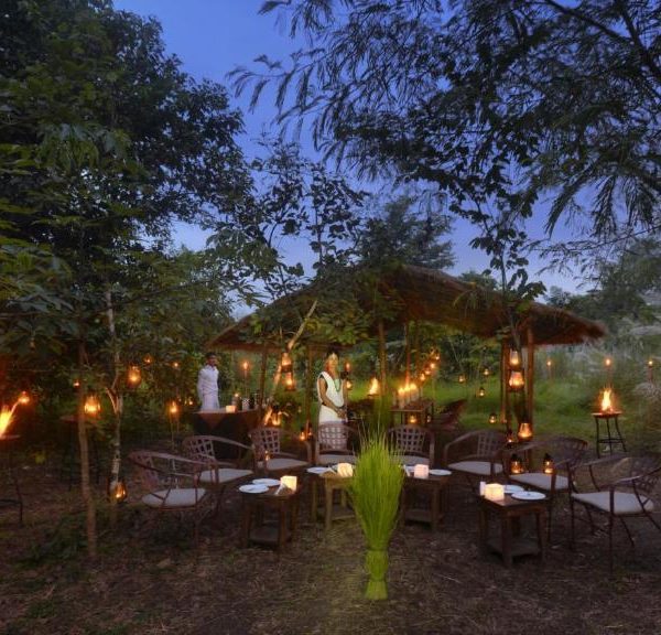 3 Nights 4 Days Luxury Safari Package with Barahi Jungle Lodge