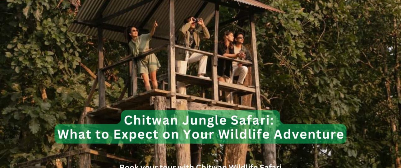 Chitwan Jungle Safari: Ultimate Wildlife Adventure in Nepal
