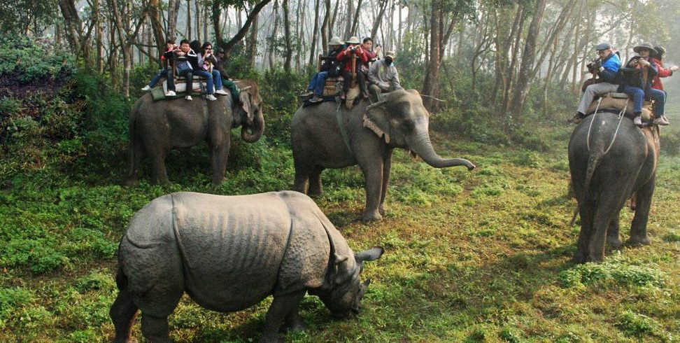 1 Night 2 Days Chitwan Jungle Safari Tour Package