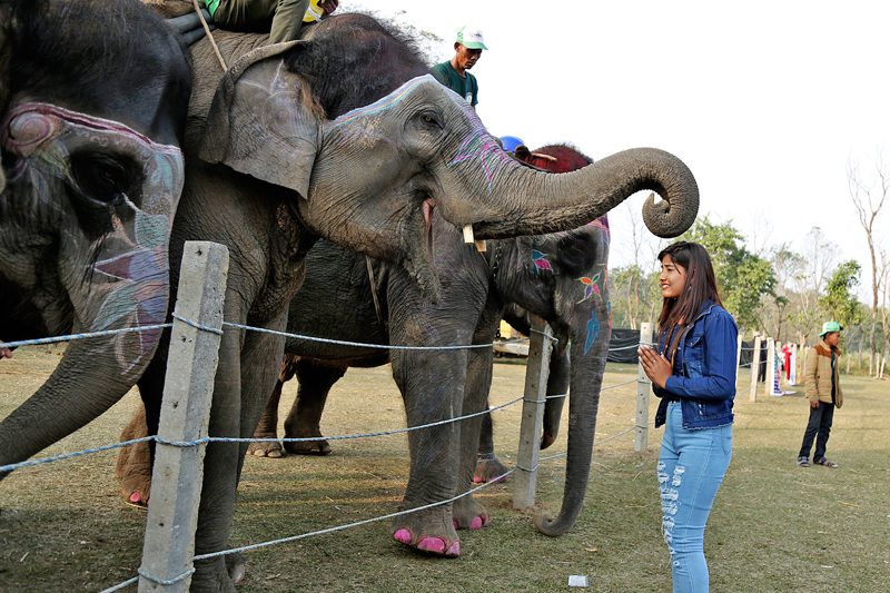 The Elephant Blessing at Chitwan National Park